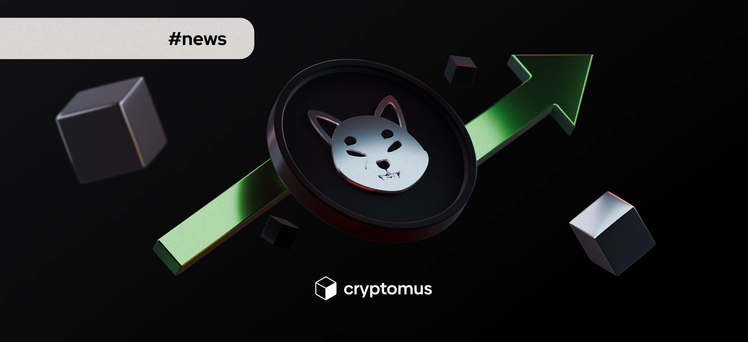 Why is Shiba Inu Going Up Today? SHIB Price Jumps 11%