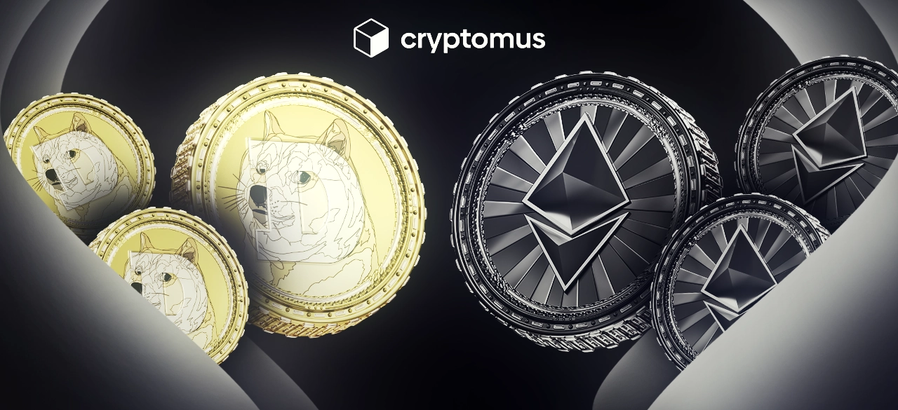 Les choix cryptographiques d'Elon Musk : quels actifs numériques possède-t-il ? • Blog Cryptomus