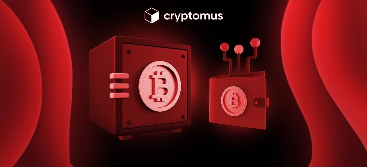 How to Use a Crypto Wallet to Backup your Crypto • Blog Cryptomus